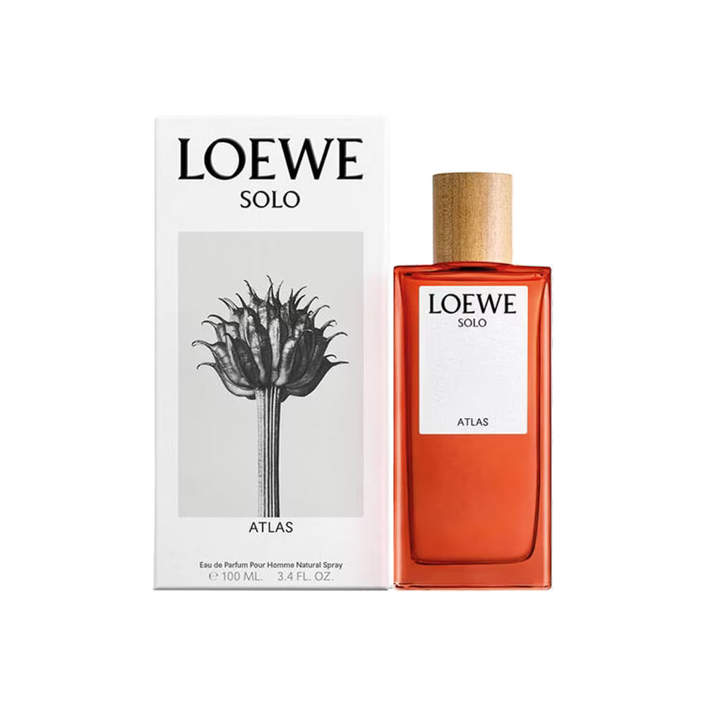 Loewe Solo Atlas Masculino EDP